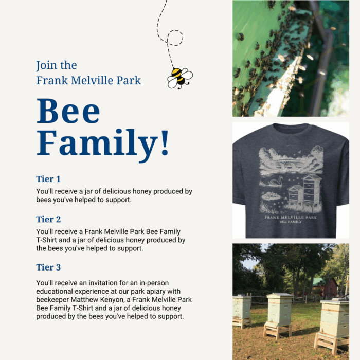Join our Bee Family! – Frank Melville Park